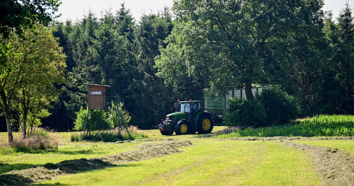 Letzte Gewissheit nach Fund von Kinderleiche: Vermisster Arian tot ...