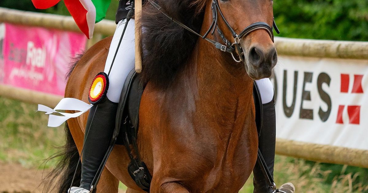 Reitsport: Emma Brust aus Rheder reitet leicht wie eine Feder | Kölner ...