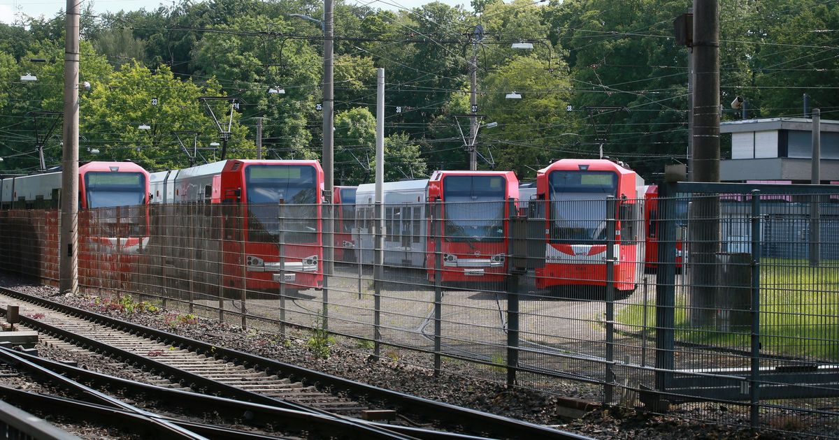 1. FC Köln gegen Bergamo: KVB verstärkt Bahn- und Busbetrieb | Kölner ...