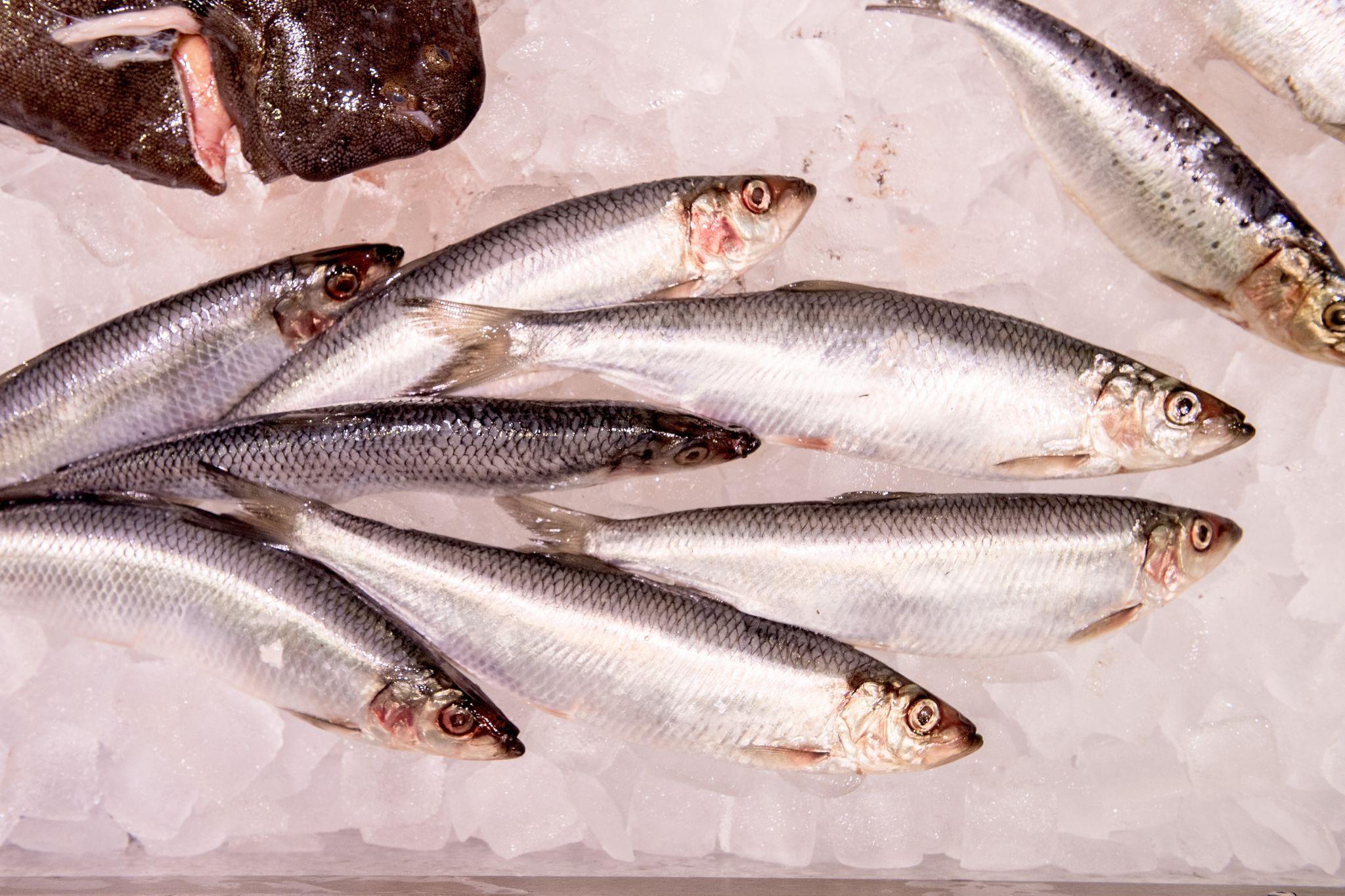 WWF-Studie: Fast ein Viertel der Fischprodukte in Supermärkten ist ...