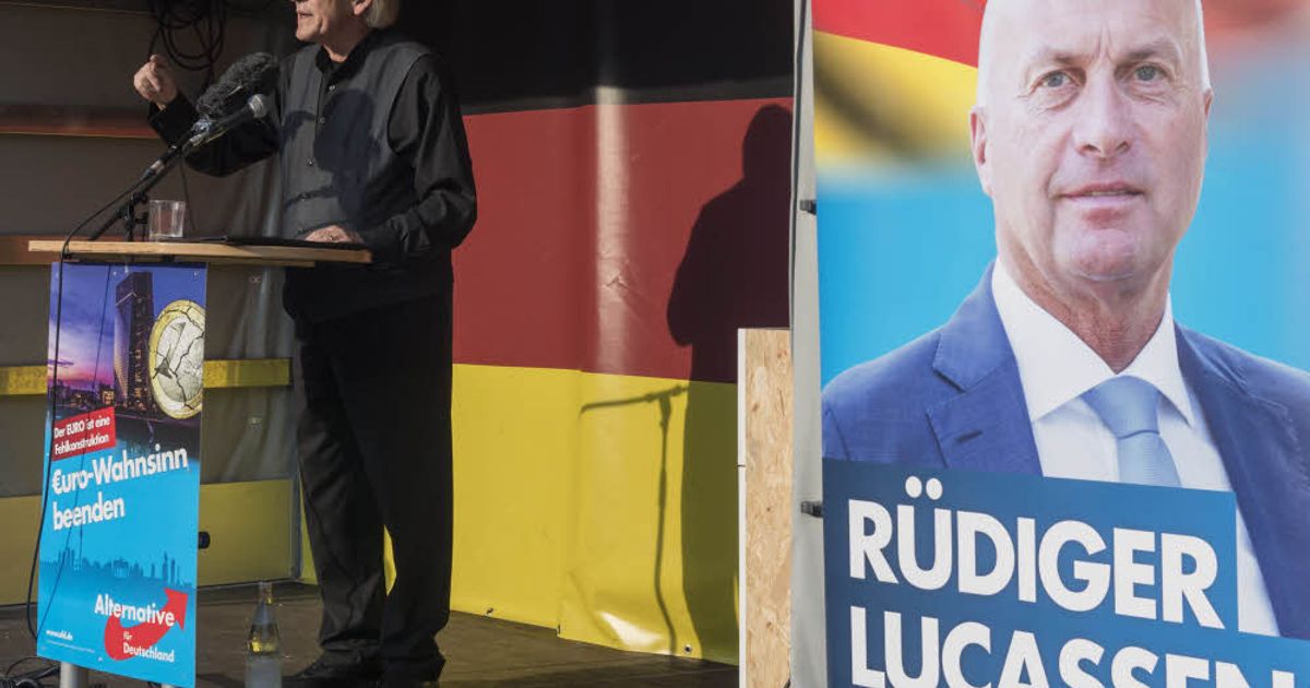 Martin E. Renner in Euskirchen: AfD-Mitbegründer nennt etablierte ...